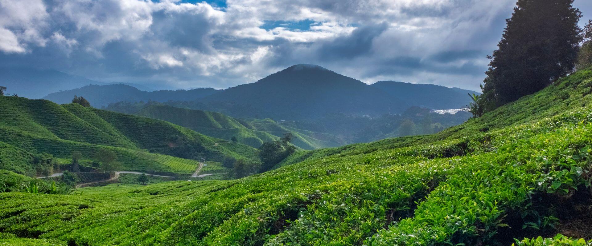 Hari Keputeraan Sultan Pahang 2025, Tarikh Cuti Sekolah & Cuti Umum