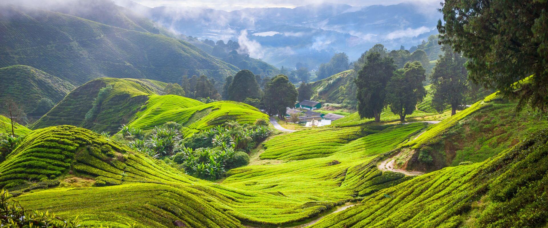 Hari Keputeraan Sultan Pahang 2027, Tarikh Cuti Sekolah & Cuti Umum